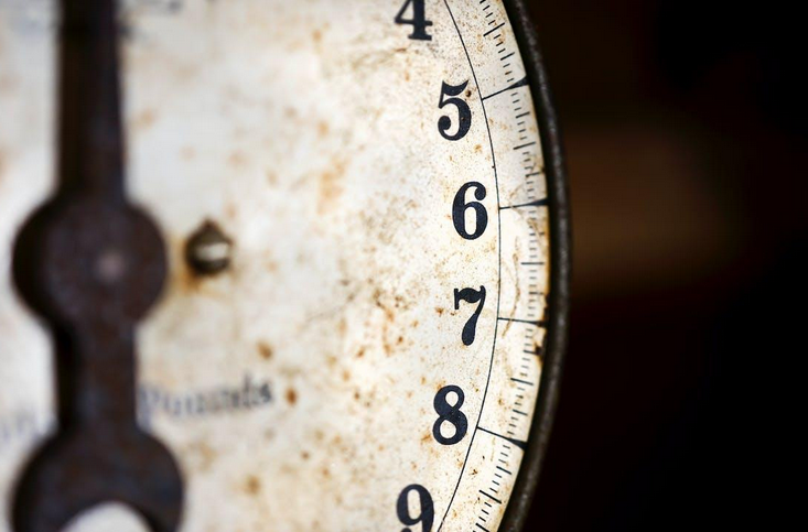 Choosing the Right Industrial Scale for Your Business | Clover Scales